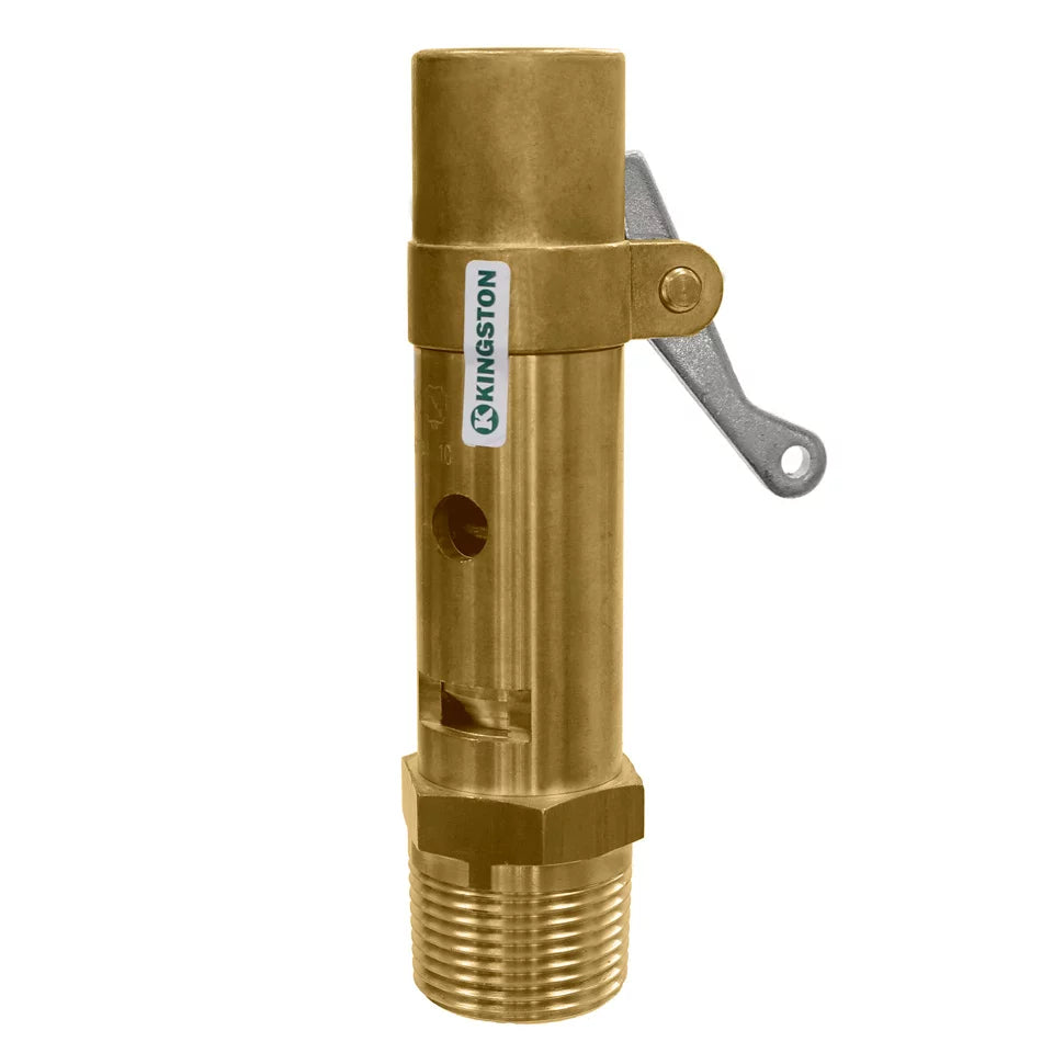 SVI INTERNATIONAL FK-119CSS-1000 1" Pop Safety Valve
