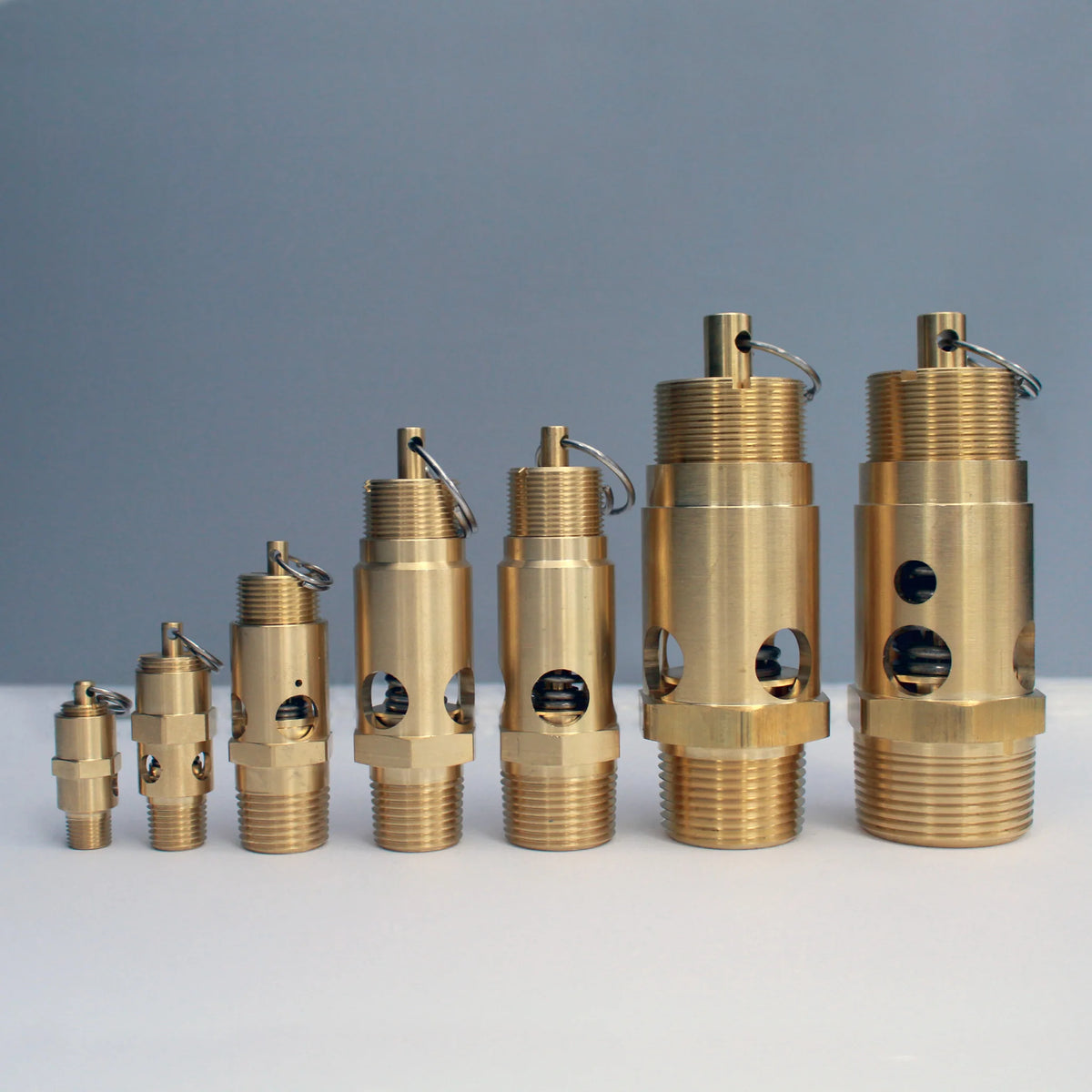 SVI INTERNATIONAL FK-KSV40-CR-1000 Stainless Steel Safety Valve with R ...