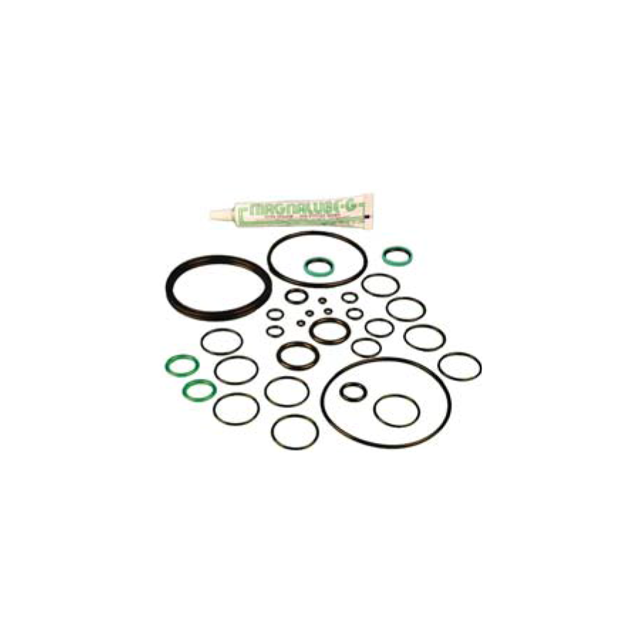 Air Motor Kit including Dynamic Seals Only (without plastic parts)
