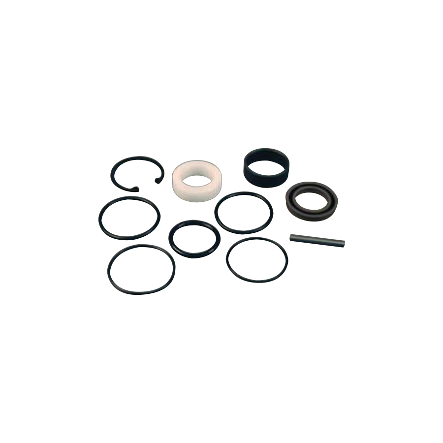 Fluid Section Repair Kit for Panther 5:1 Models