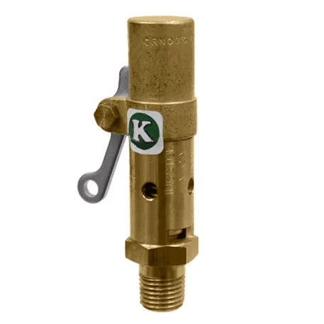 SVI INTERNATIONAL AS-2205-68 Safety Valve 1/4" 75 psi Ref# M3144